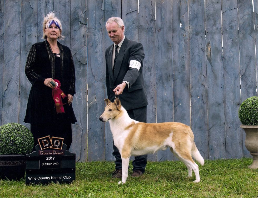 Smooth and Rough Collies - Moonshadows Kennel